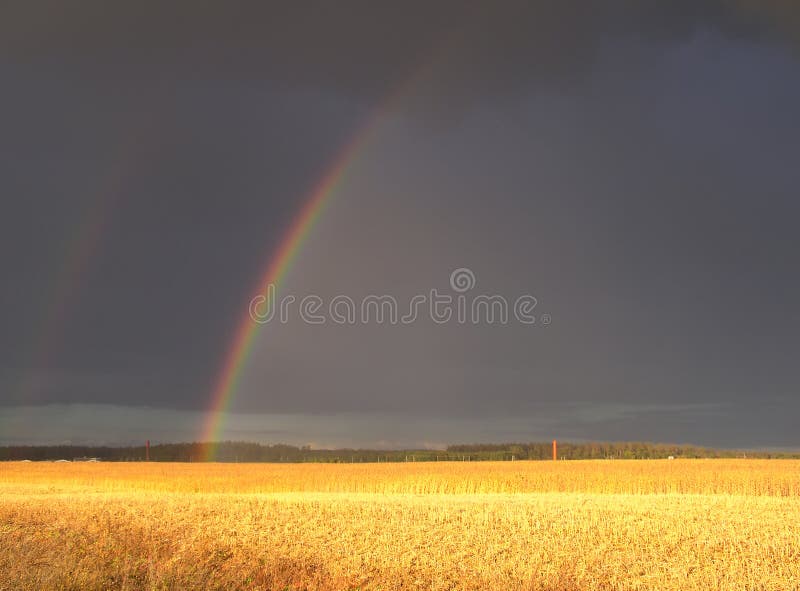 Rainbow over the field stock image. Image of rural, spectrum - 72550983