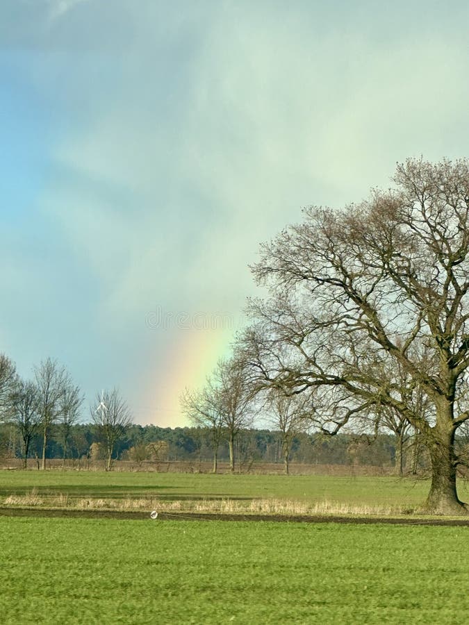 Rainbow Over a Field and Trees Stock Photo - Image of wind, nature ...
