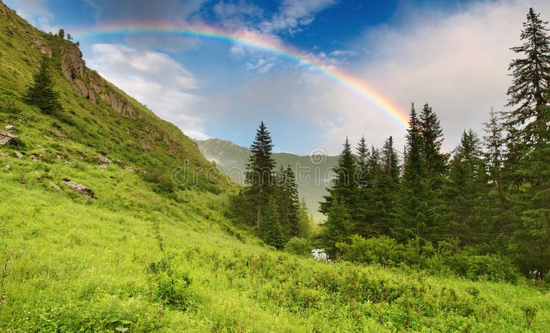 Rainbow over forest stock image. Image of hill, weather - 4331749