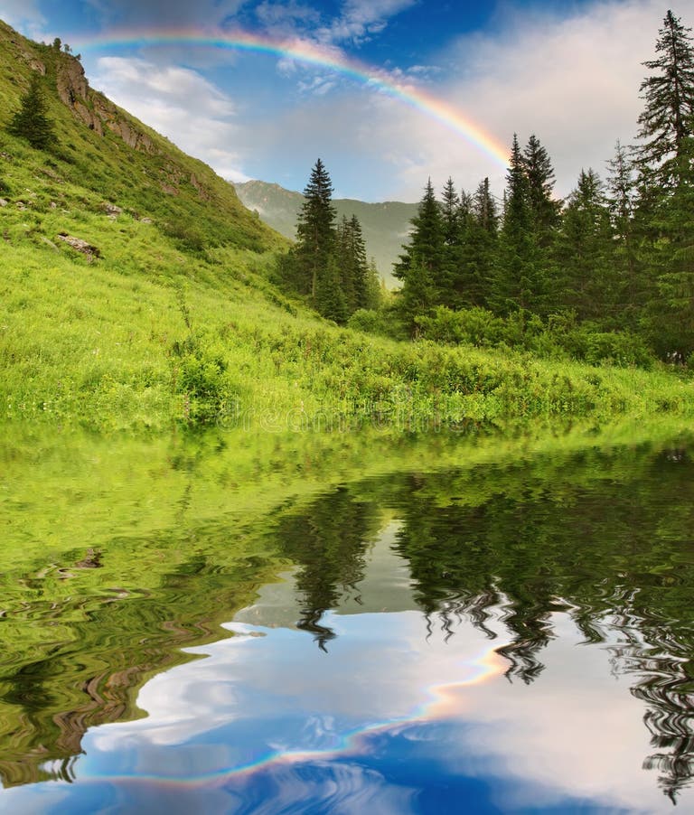 36,953 Forest Rainbow Stock Photos - Free & Royalty-Free Stock Photos ...