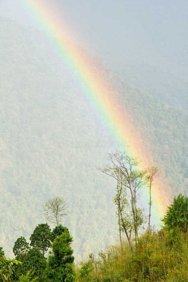 Rainbow over forest stock photo. Image of meadow, rainbow - 31009034