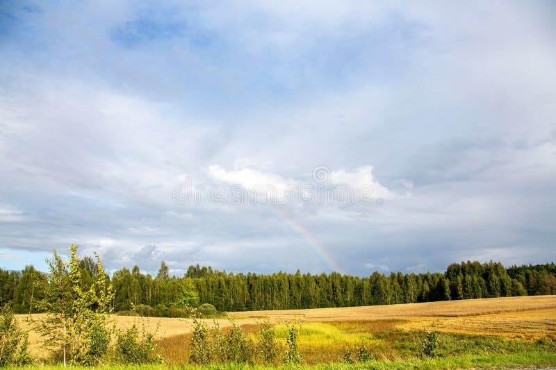 Rainbow Over Forest. Natural Landscape. Forest with Rainbow. Stock ...