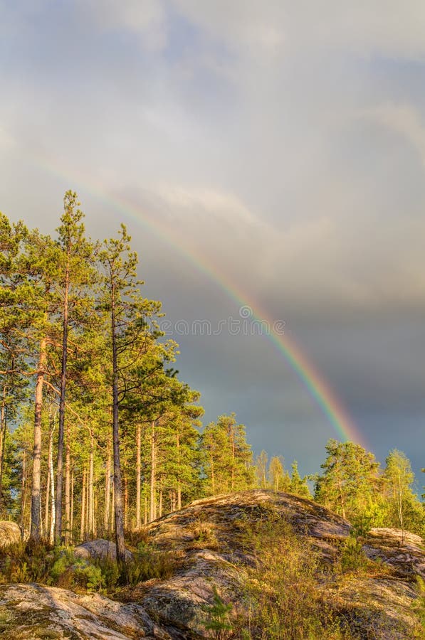 Rainbow over the forest stock image. Image of view, foliage - 53977885