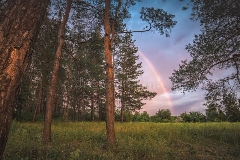 Rainbow over the forest stock photo. Image of light - 187764226