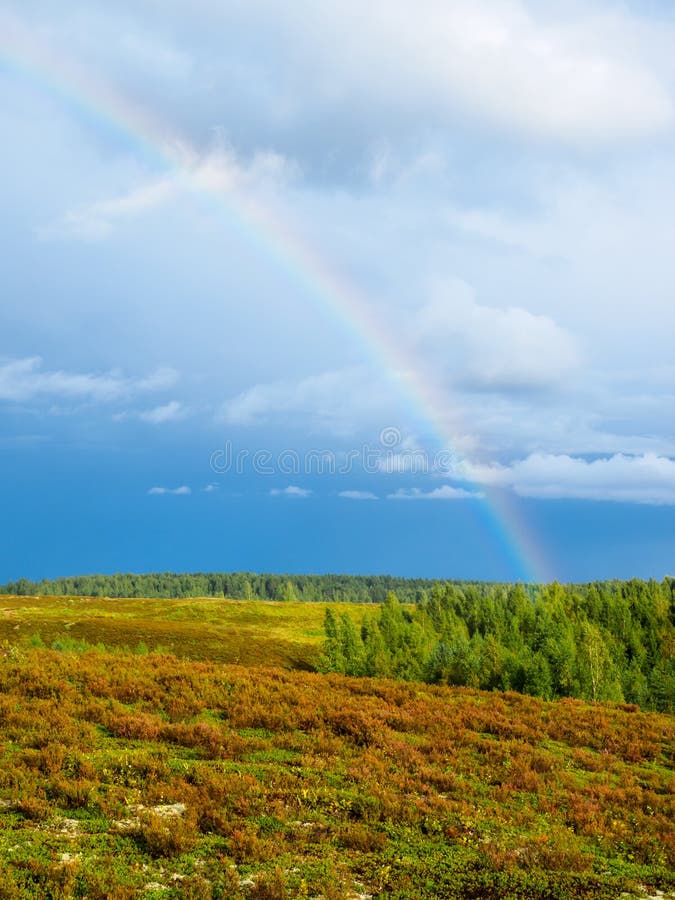Rainbow Over the Forested Landscape Under Stormy Sky Stock Image ...
