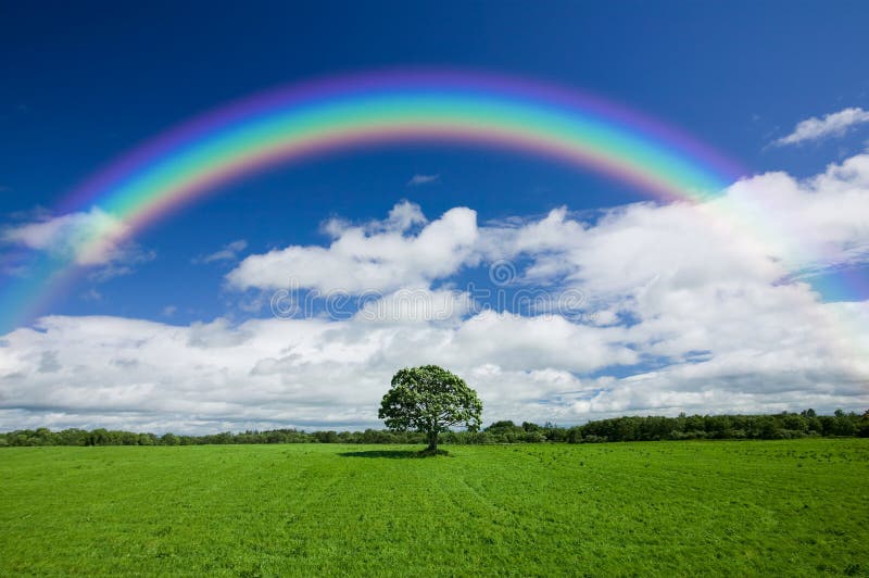 Rainbow Over Green Field stock image. Image of blue, field - 23640495