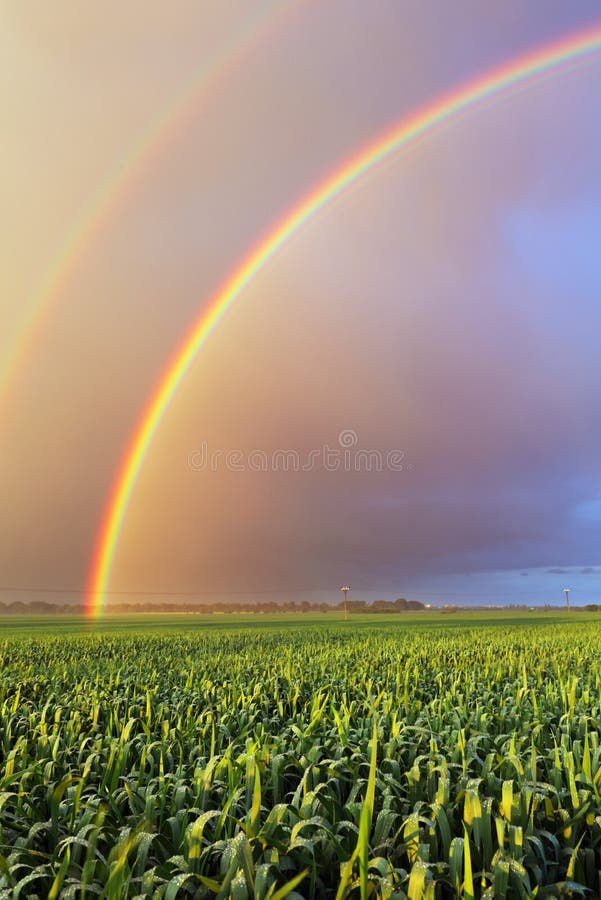 Rainbow stock photo. Image of cloud, evening, rainbow - 72869038