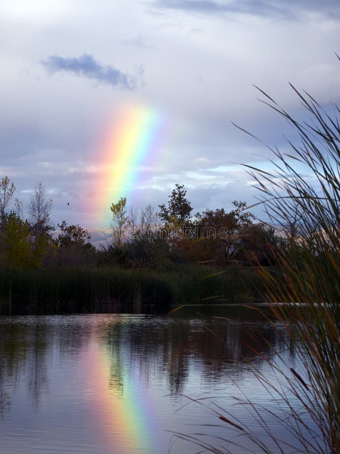 Rainbow over lake Tana stock photo. Image of lake, rainbow - 9412586