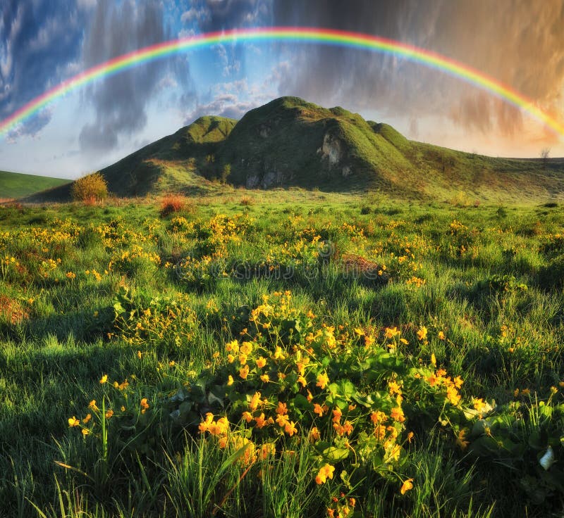 Rainbow over the meadow stock image. Image of haze, dramatic - 188097717