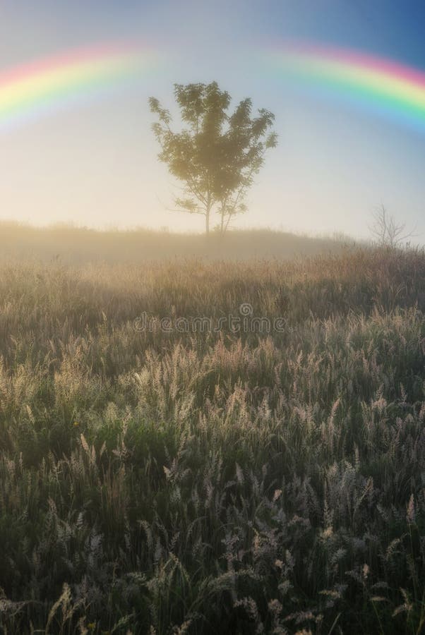 Rainbow Over a Meadow in the Spring Stock Photo - Image of intense ...