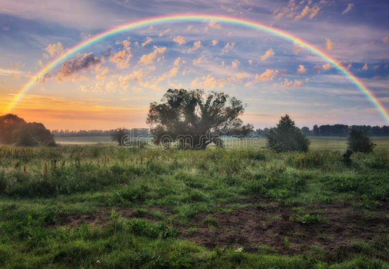 Rainbow Over a Meadow in the Spring Stock Photo - Image of pasture ...