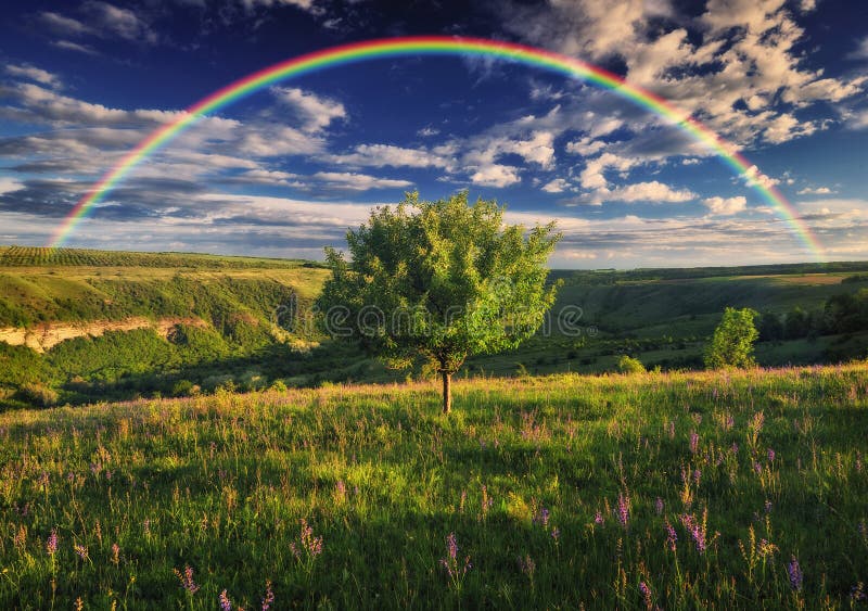 Rainbow Over The River. Picturesque Spring Meadow Stock Photo - Image ...