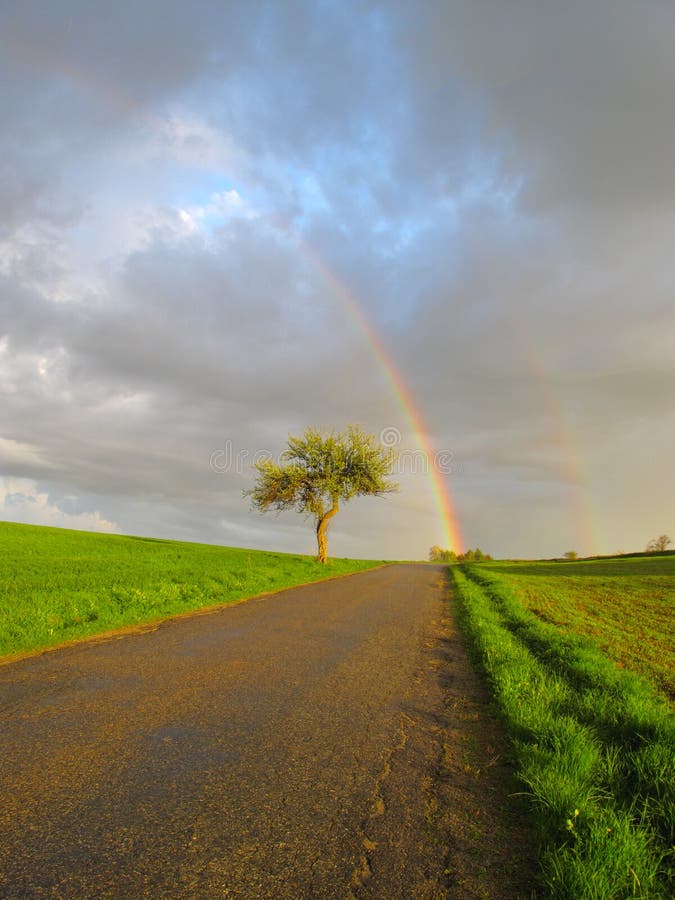 Rainbow over road stock photo. Image of amazing, field - 15994924