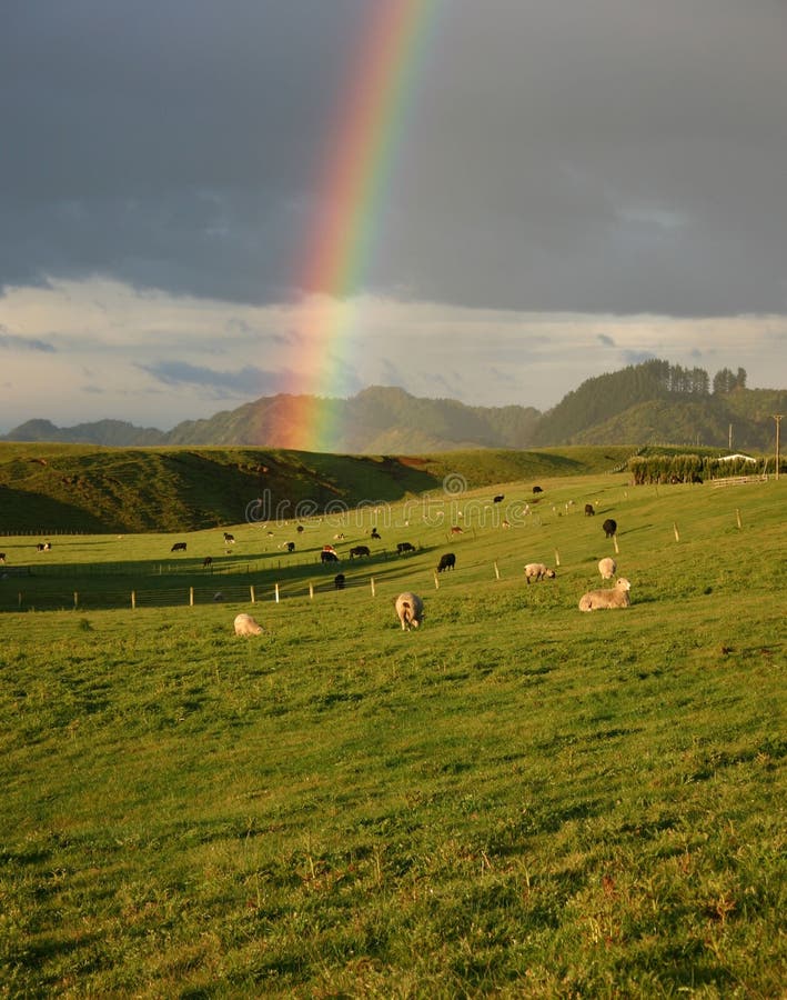 Rainbow Over Sheep Farm Stock Photos - Free & Royalty-Free Stock Photos ...