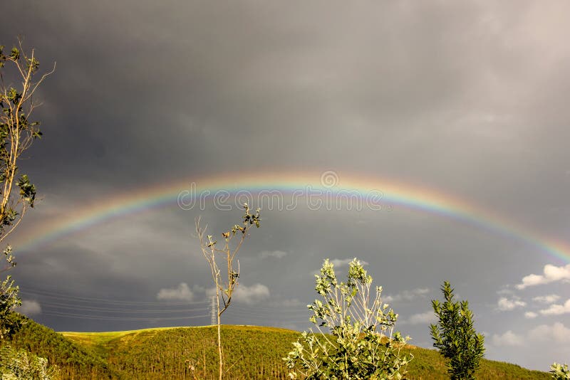 Rainbow Sky Over Some Trees Land Stock Photos - Free & Royalty-Free ...