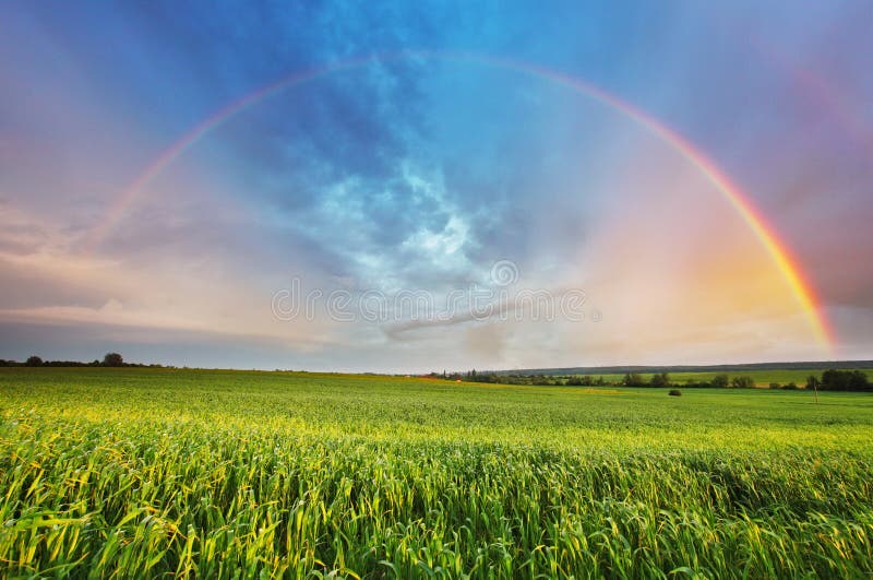 Green Grass Rainbow stock photo. Image of colourful, grow - 5436792