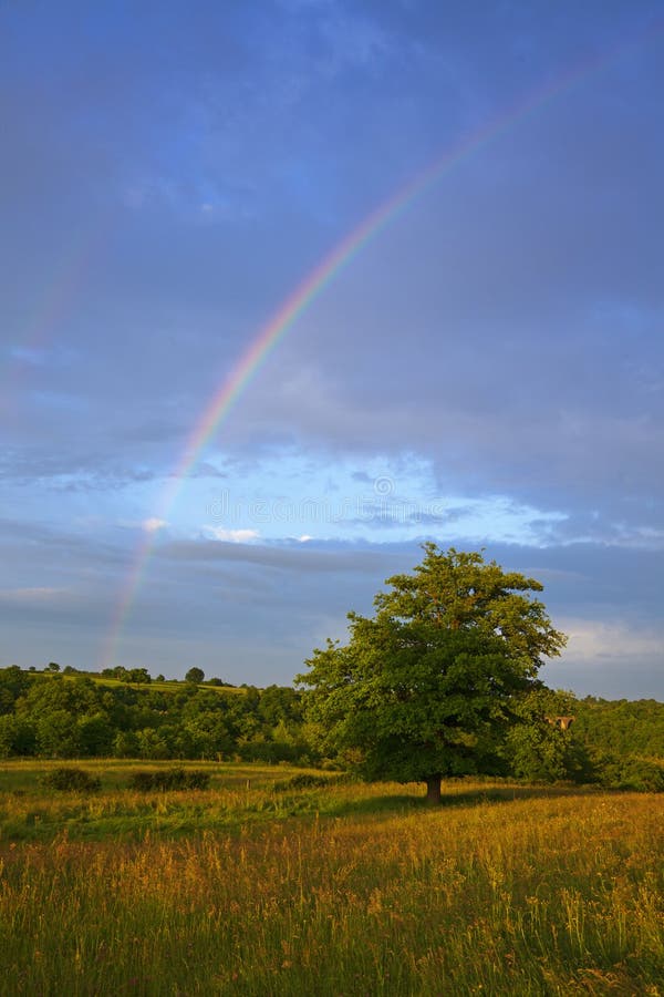 49+ Rainbow over tree Free Stock Photos - StockFreeImages
