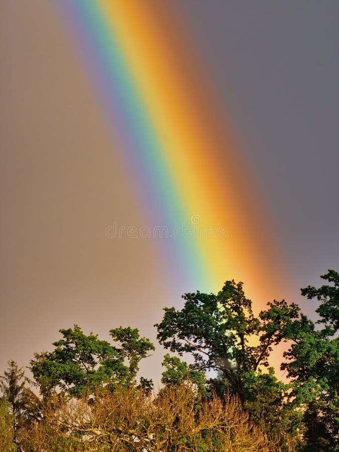 Rainbow over trees stock image. Image of colorfull, sunset - 281700381