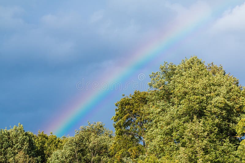 Rainbow over trees stock image. Image of park, thundercloud - 165923253