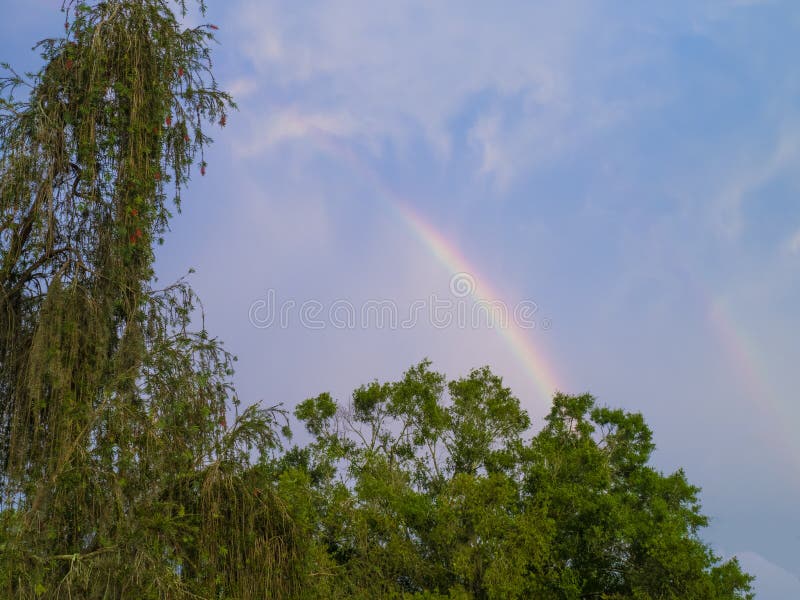Rainbow over the trees 4 stock image. Image of brush - 119901031