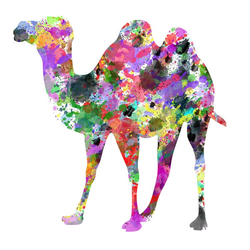Rainbow Paint Splash Camel Silhouette Illustration Stock - Illustration ...