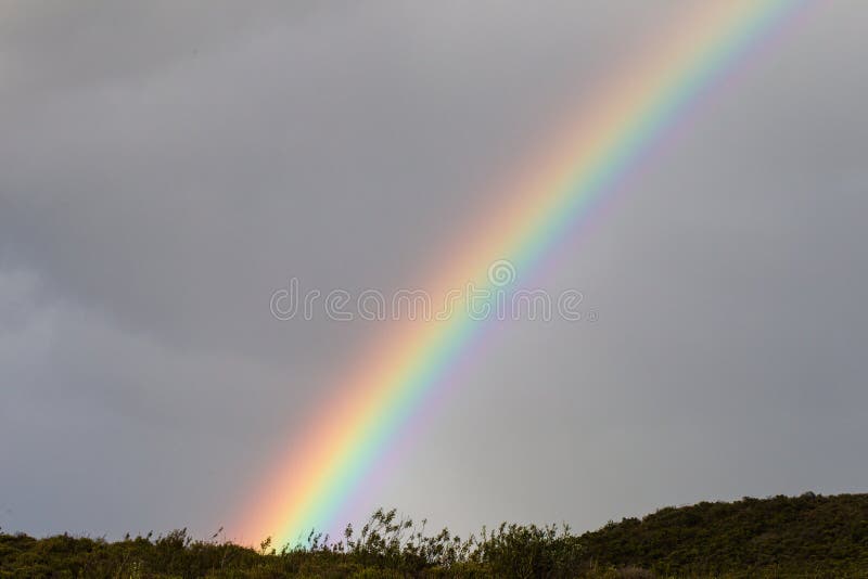 Rainbow stock image. Image of color, horizon, rainbow - 53948459