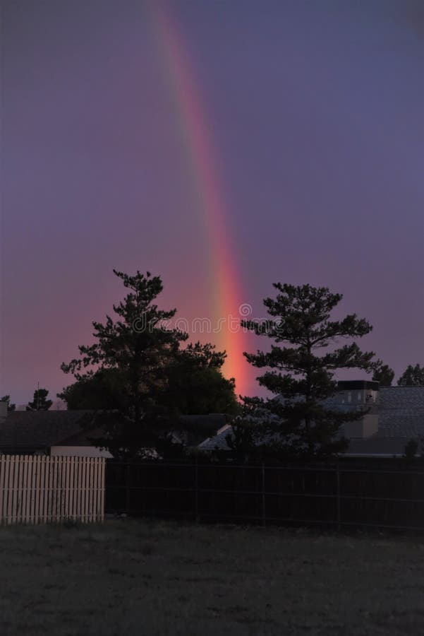 Rainbow between pine trees stock photo. Image of dusk - 271076234