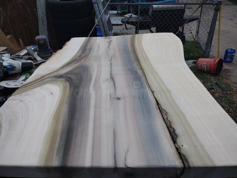 Rainbow Poplar editorial stock image. Image of flooring - 240111214