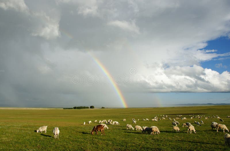 Rainbow on Prairie stock image. Image of east, rainbow - 33020515