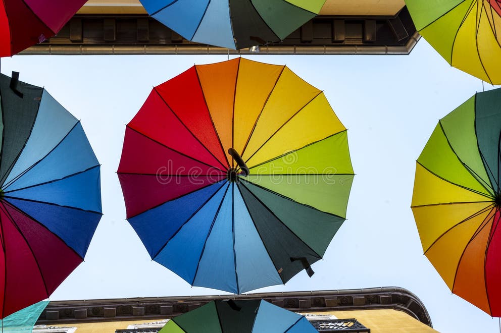 A Rainbow of Pride: Celebrating Diversity and Inclusion (07 04 2024 ...