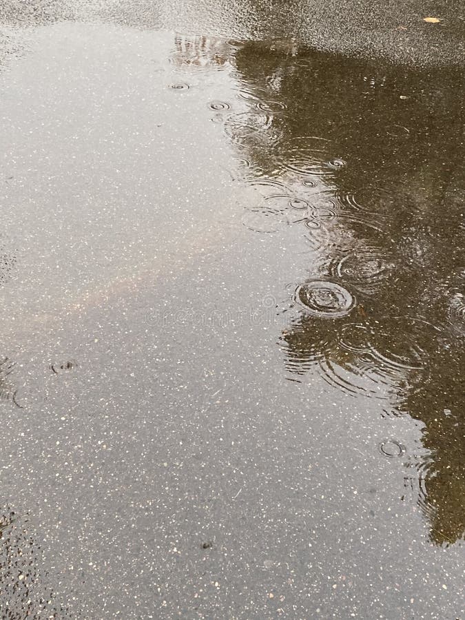 Rainbow in a puddle stock photo. Image of leaf, road - 219043930