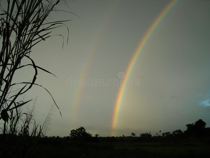 Rainbow stock photo. Image of fall, front, foliage, grass - 40317636