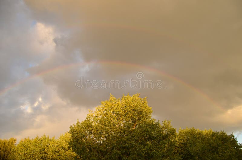 Rainbow after Rain Over Trees Stock Photo - Image of nature, rainbow ...