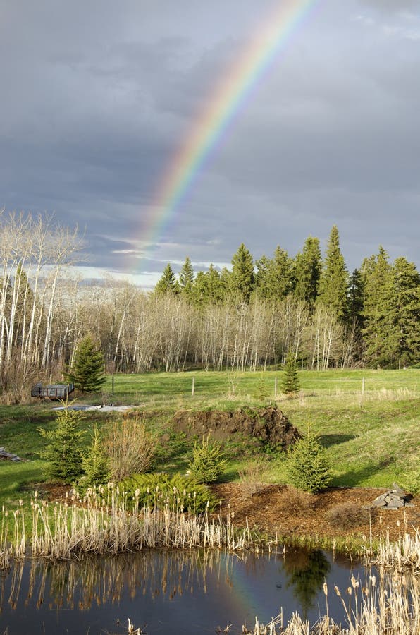 Rainbow reflection stock image. Image of rainbow, spectrum - 54079197