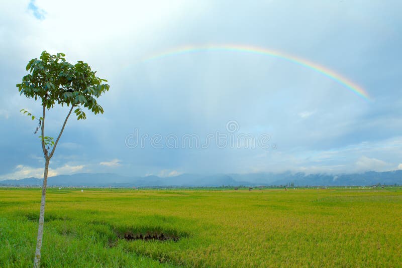 The Rainbow after There Rain Stock Image - Image of feature, hill ...