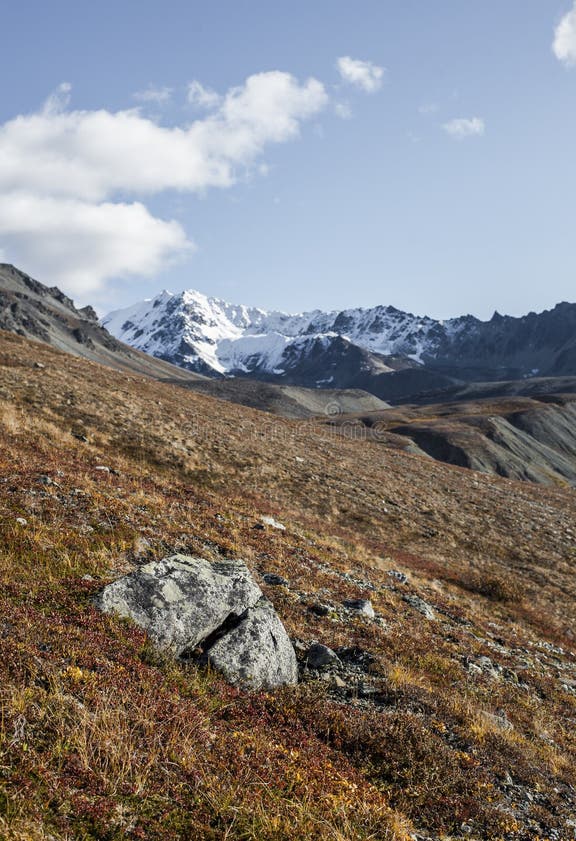 Rainbow Ridge stock photo. Image of trees, green, deer - 67985726