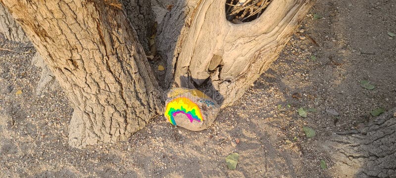 Rainbow Rock by the Trees Facing West Stock Photo - Image of animal ...