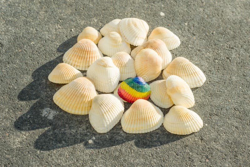 76,444 Lesbian Stock Photos - Free & Royalty-Free Stock Photos from ...