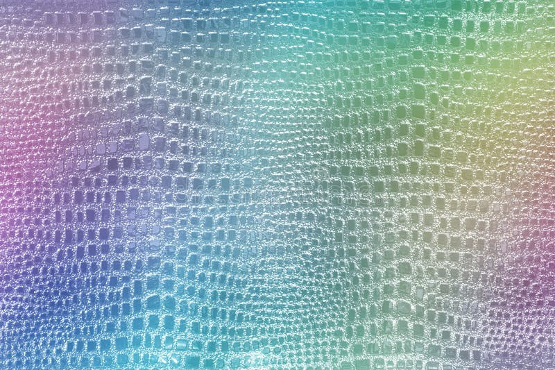 Rainbow Skin Python Skin Snakes, Crocodile, Trend, Fashion, Background ...