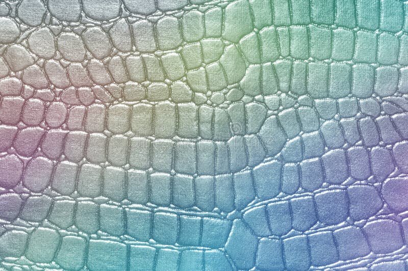 282 Rainbow Snake Skin Pattern Stock Photos - Free & Royalty-Free Stock ...