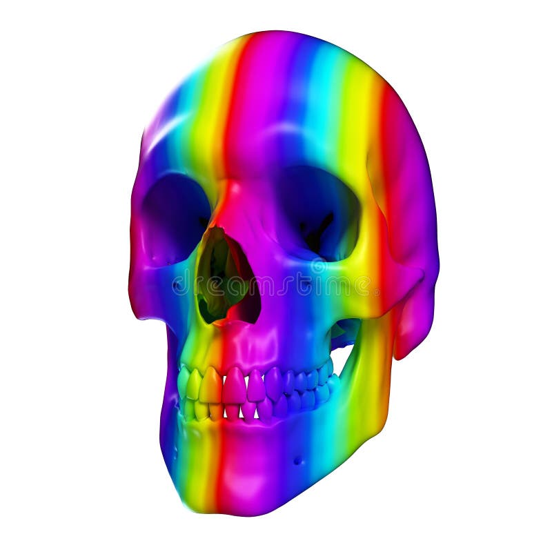 A rainbow skull stock illustration. Illustration of anatomy - 100248043