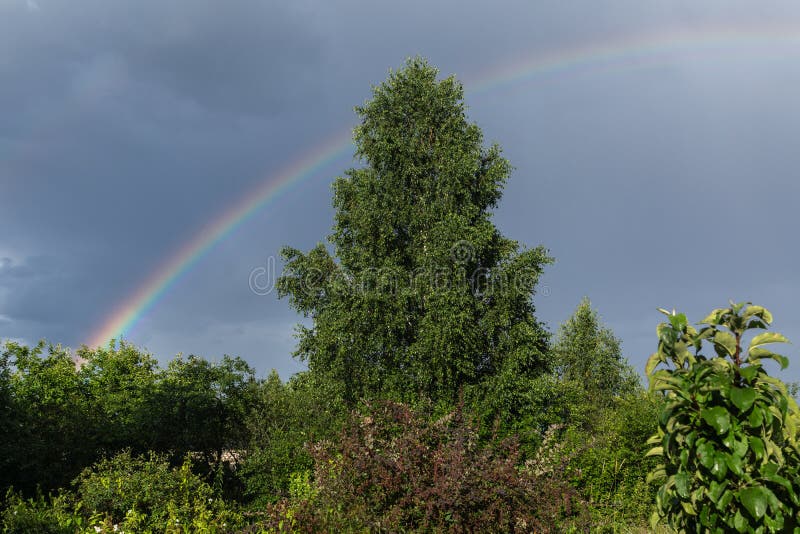 Rainbow in the Sky Over the Garden Stock Image - Image of beautiful ...