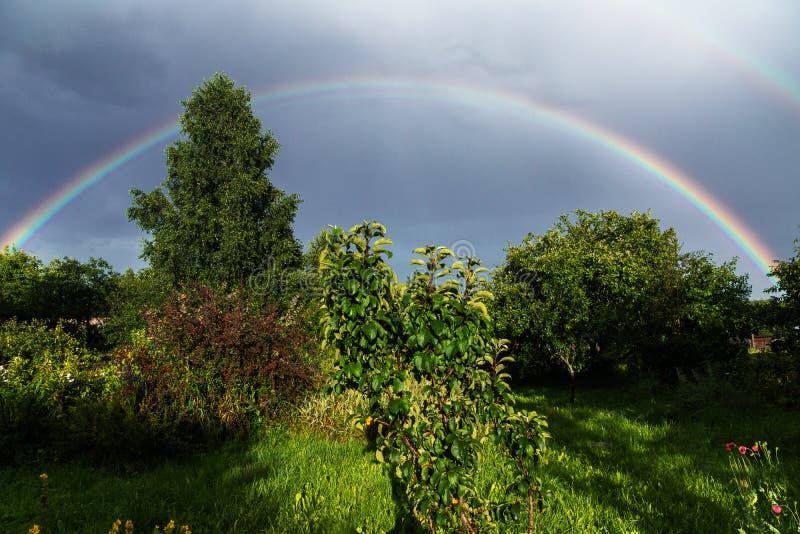 Rainbow in the Sky Over the Garden Stock Photo - Image of grass ...