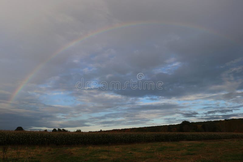 Rainbow Corn Field stock image. Image of landscape, blue - 239234397