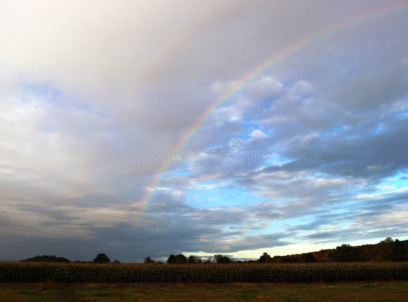 Rainbow Corn Field II stock image. Image of october - 239234401