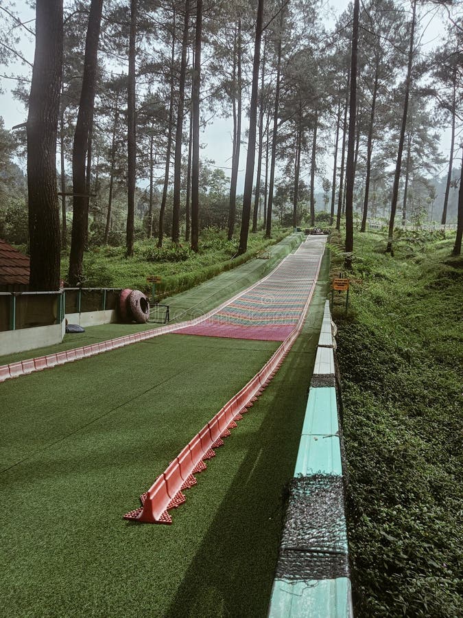 Rainbow Slide in the Forest Stock Photo - Image of slide, rainbow ...