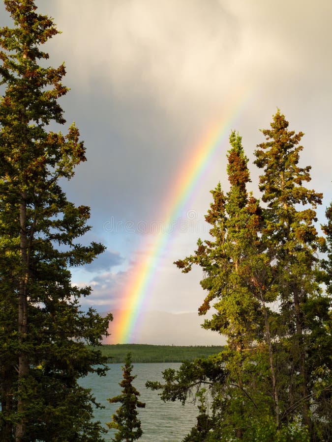 Arcobaleno Su Un Lago Nella Foresta Boreale in YT, Canada Fotografia ...