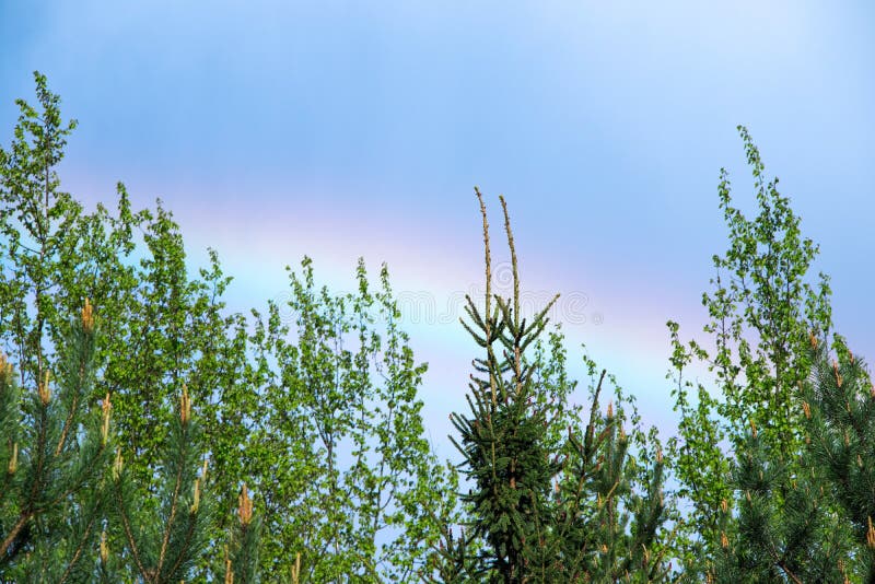 A Rainbow in the Spring Sky. a Vivid Rainbow. Spring Colorful Rainbow ...