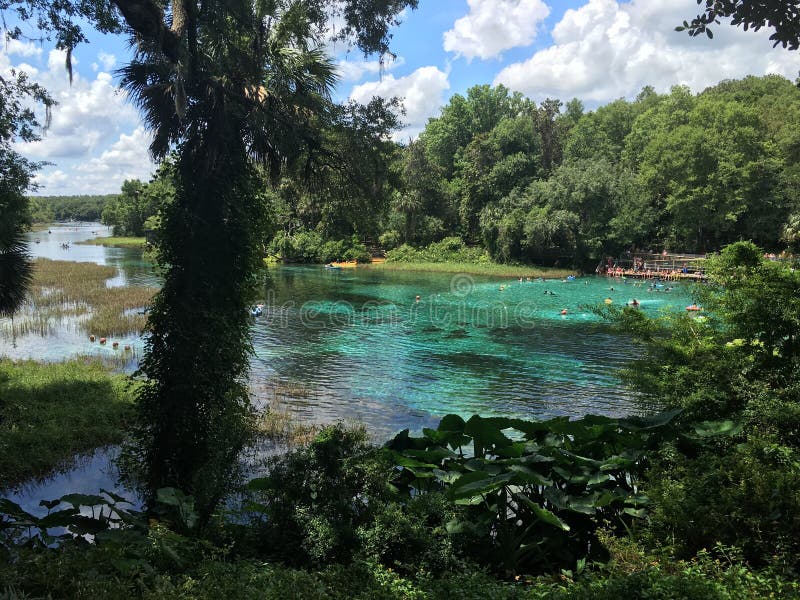 Rainbow springs stock image. Image of springs, trees - 95726975