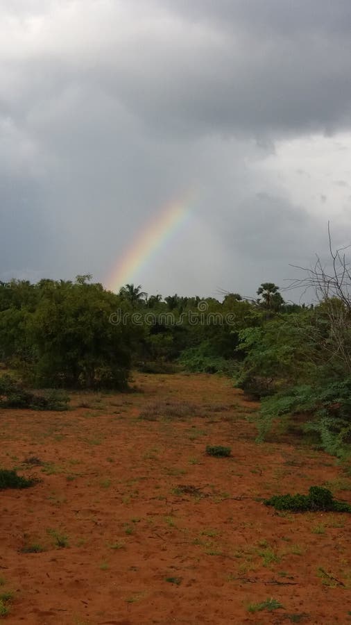 Starting Point. Hand Of Sportsman On Running Track Low Start Position ...